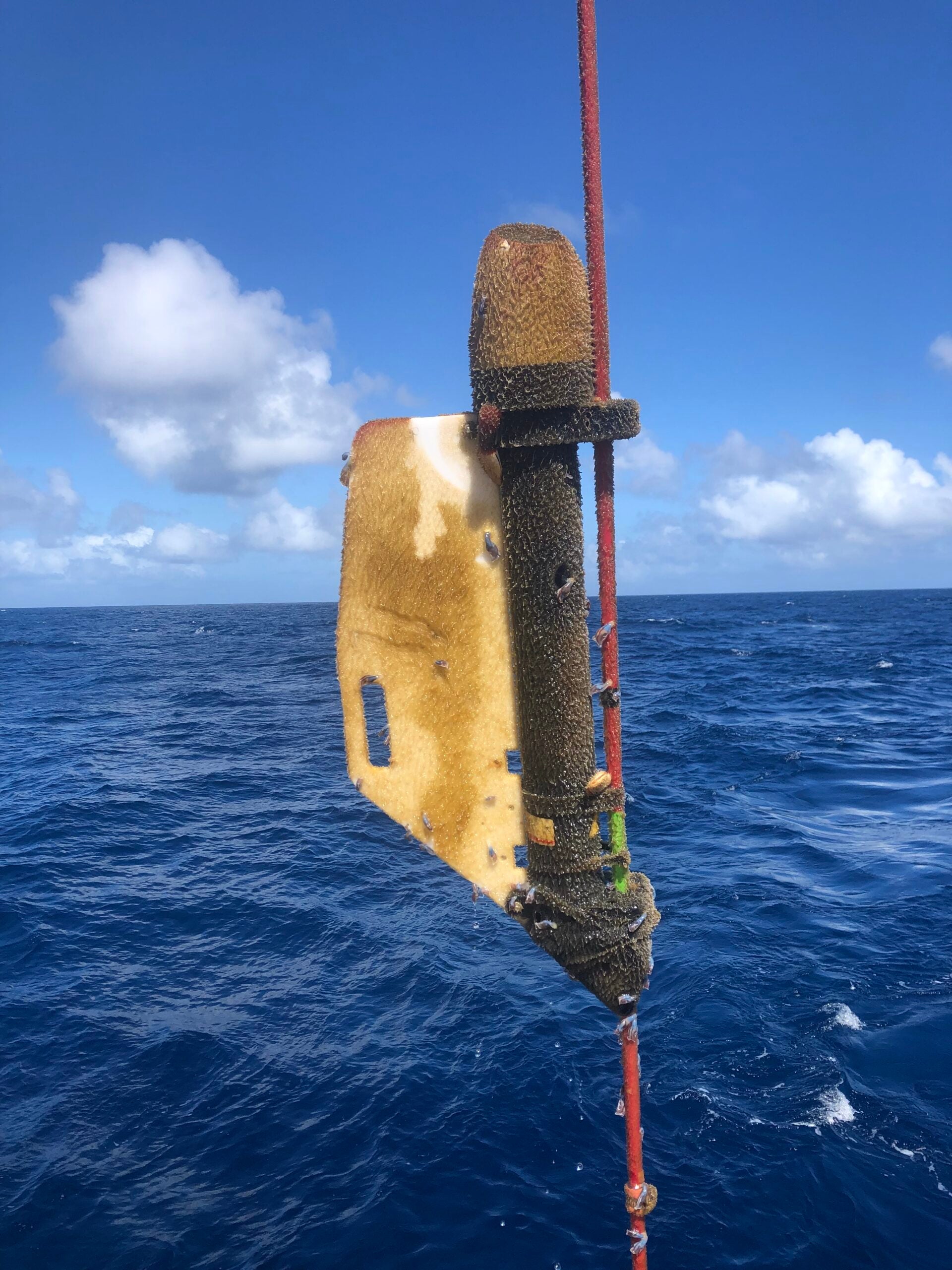 Mooring Enhancement – TPOS