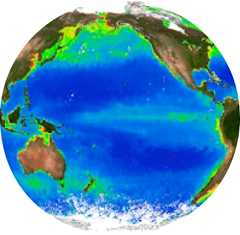 Observations – TPOS